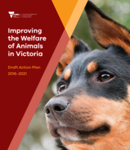 VICTORIA’S DRAFT ANIMAL WELFARE ACTION PLAN PUTS LIVESTOCK PRODUCERS ...
